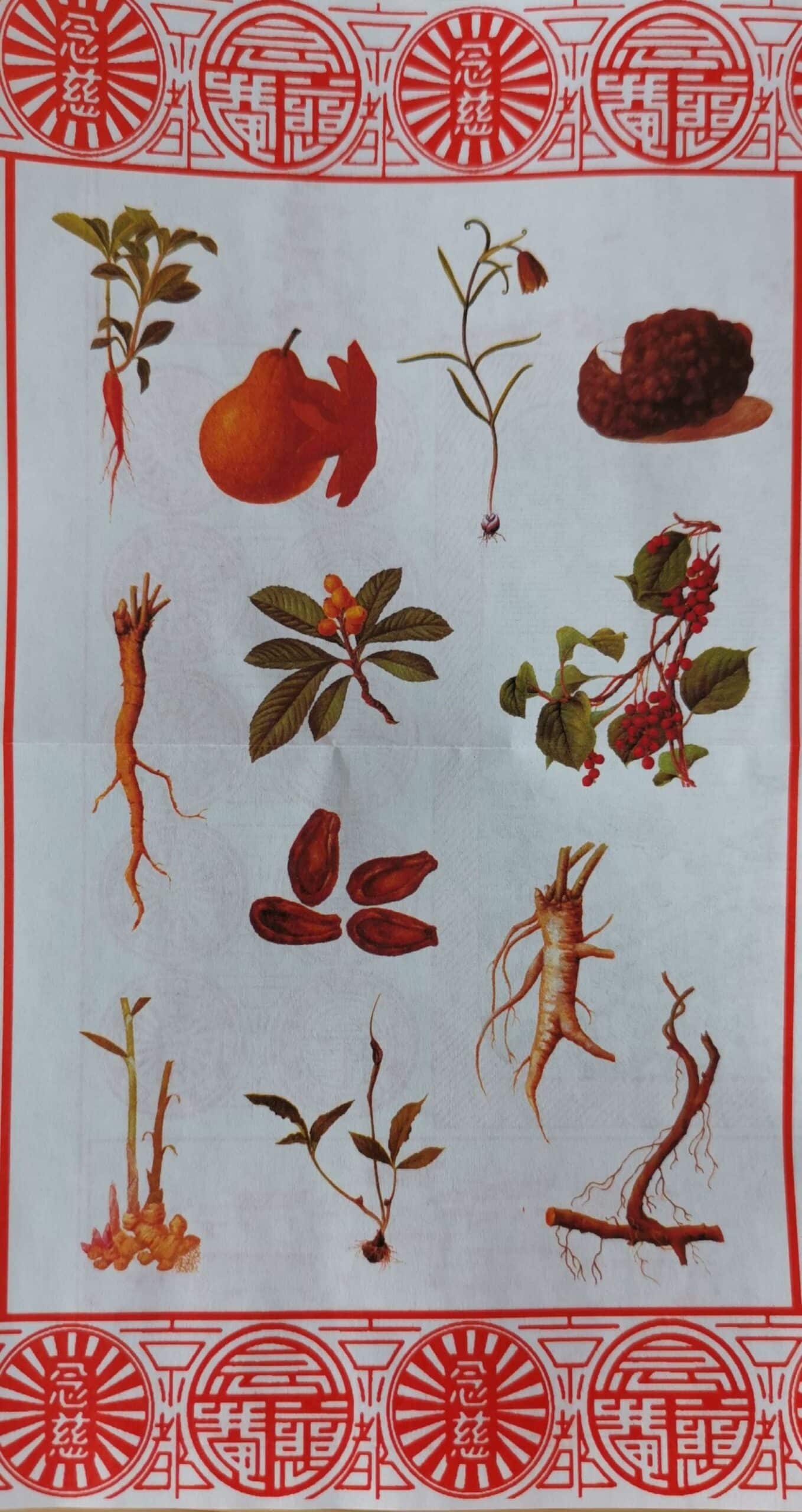 Pi Pa Gao un sirop délicieux contre la toux - Entre ciel et terre